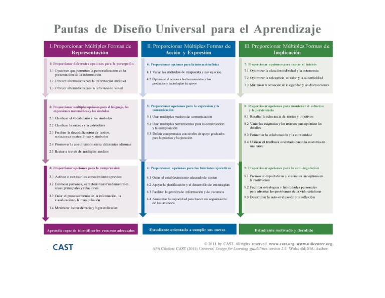 Pauta Del Diseño Universal para El Aprendizaje - Dua | PDF