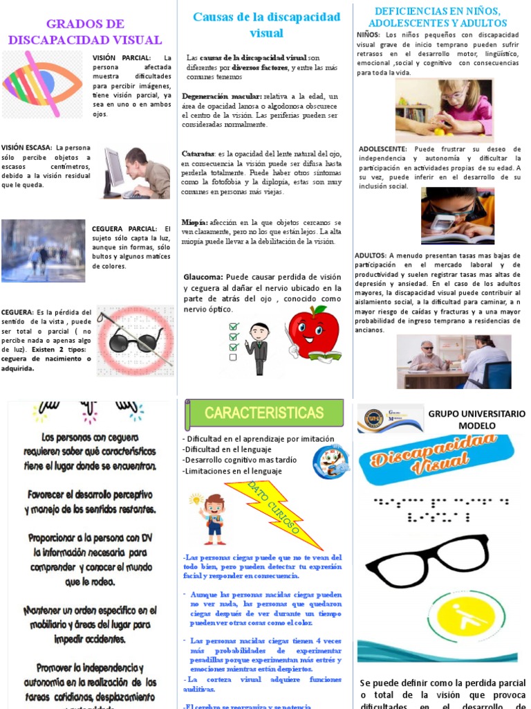 TRIPTICO CEGUERA OK290523 | PDF | Percepción visual | Ojo humano