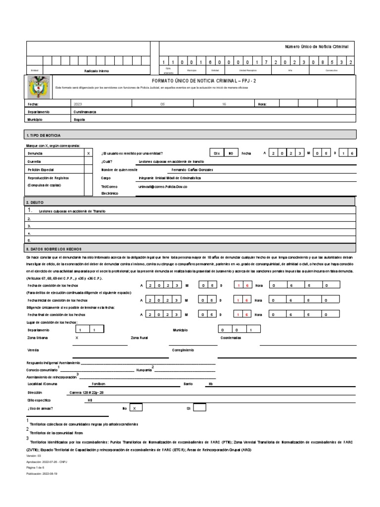 FPJ 2 Formato Unico Noticia Criminal v3 | PDF | Transgénero | Estudios ...