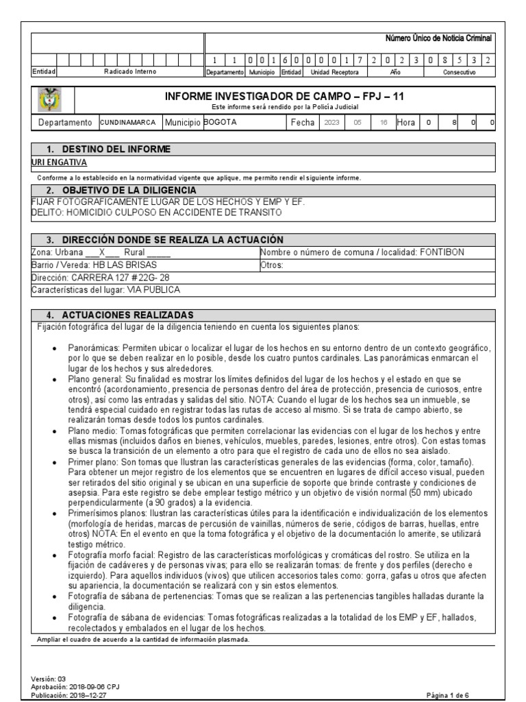 FPJ-11-Informe-Investigador-de-Campo-V-0 | PDF | Yo telefono