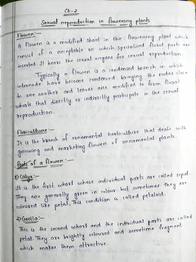 Sexual Reproduction in Flowering Plants | PDF