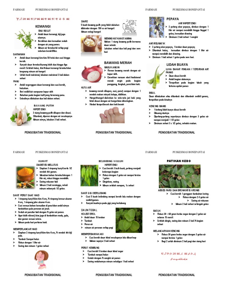 LEAFLET PEMANFAATAN TOGA | PDF