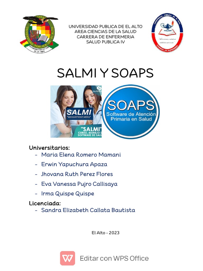 Salmi Salud | PDF | Ventana (informática) | Informática