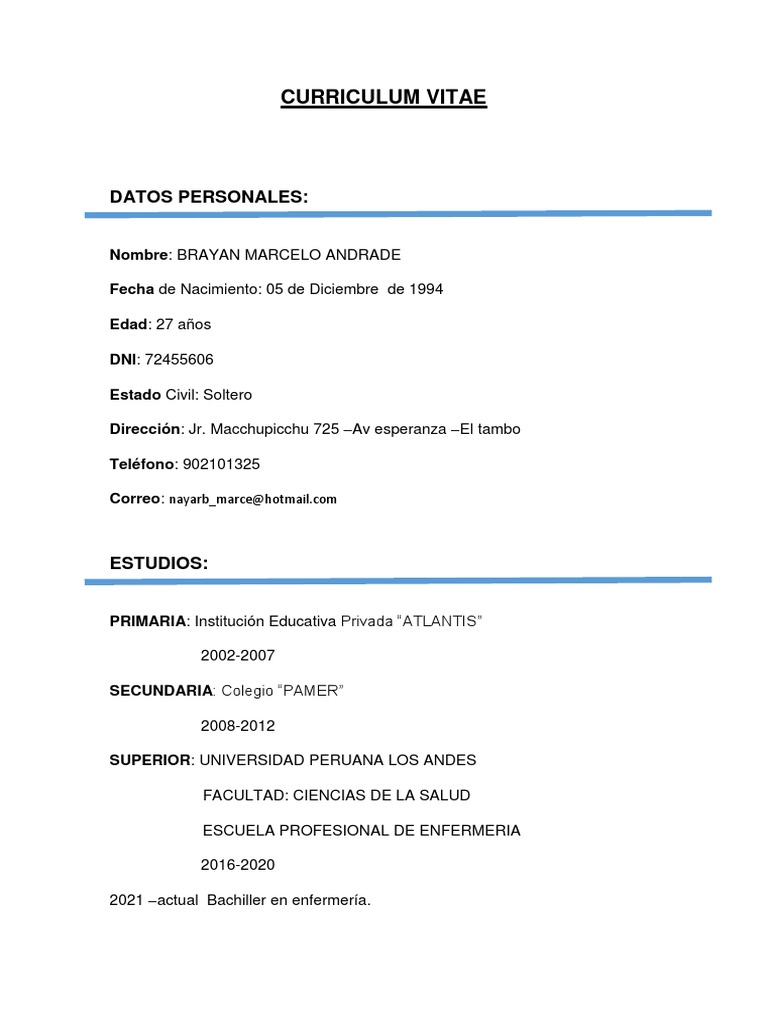 Curriculum Vitae Brayan 1 | PDF