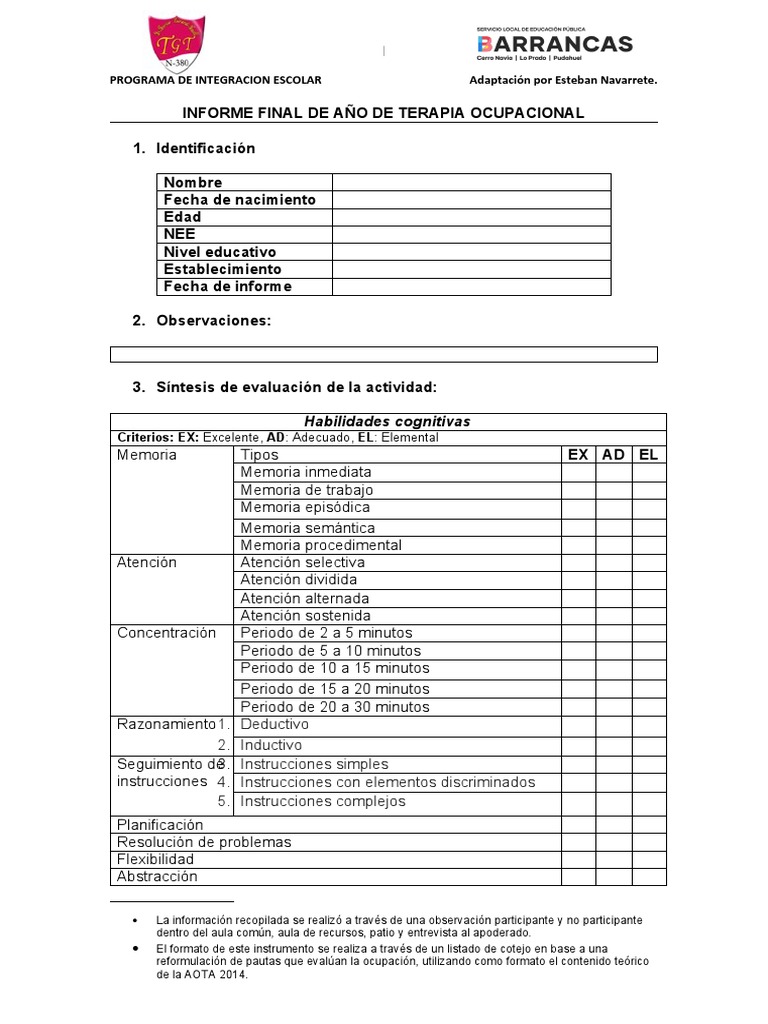 Informe Final de Año de Terapia Ocupacional | PDF | Memoria ...