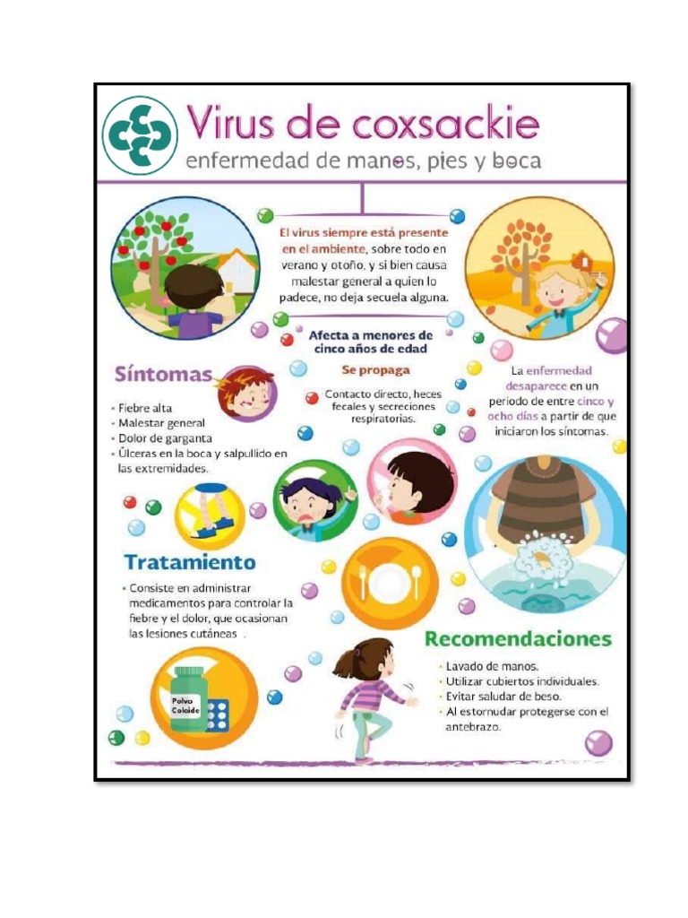 Manos Pies y Boca | PDF