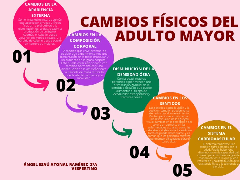 Diagrama de Cambios Físicos Del Adulto Mayor | PDF | Vejez ...