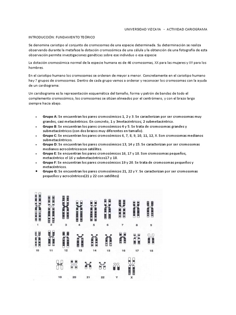 Cariograma y Análisis de Cromosomas | PDF | Cromosoma | Cariotipo