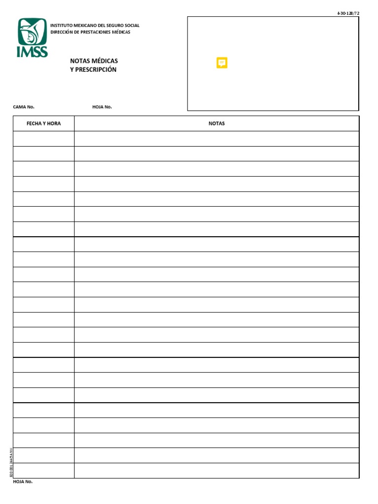 Formato de Notas Médicas | PDF