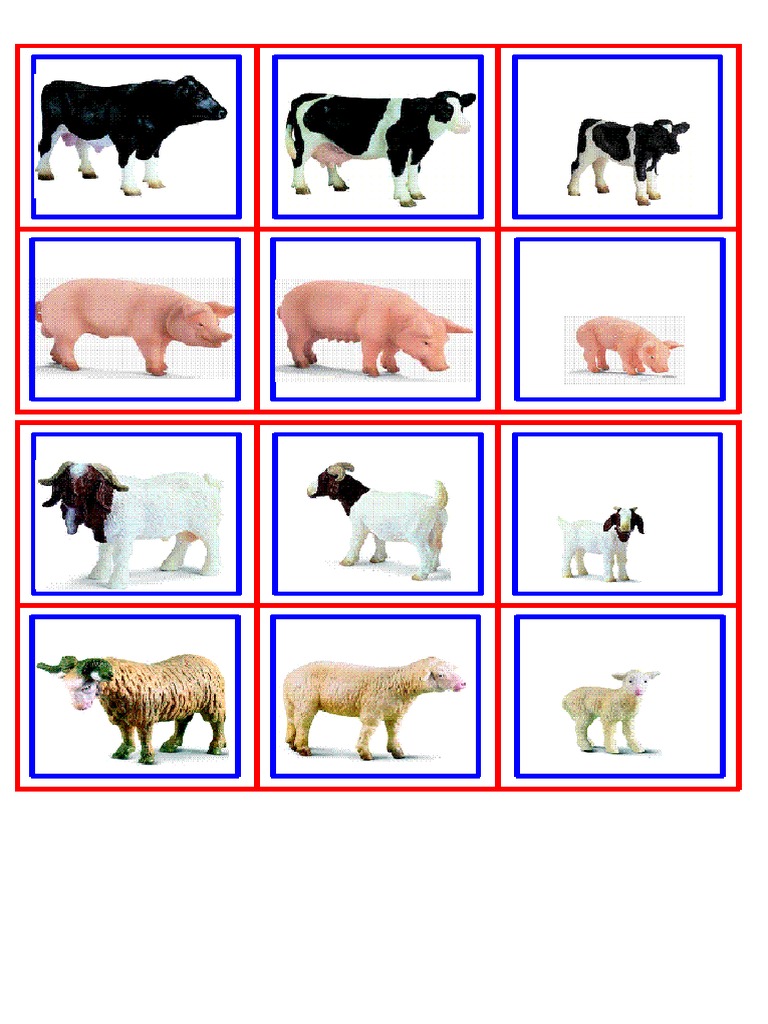 Familia de Animales | PDF