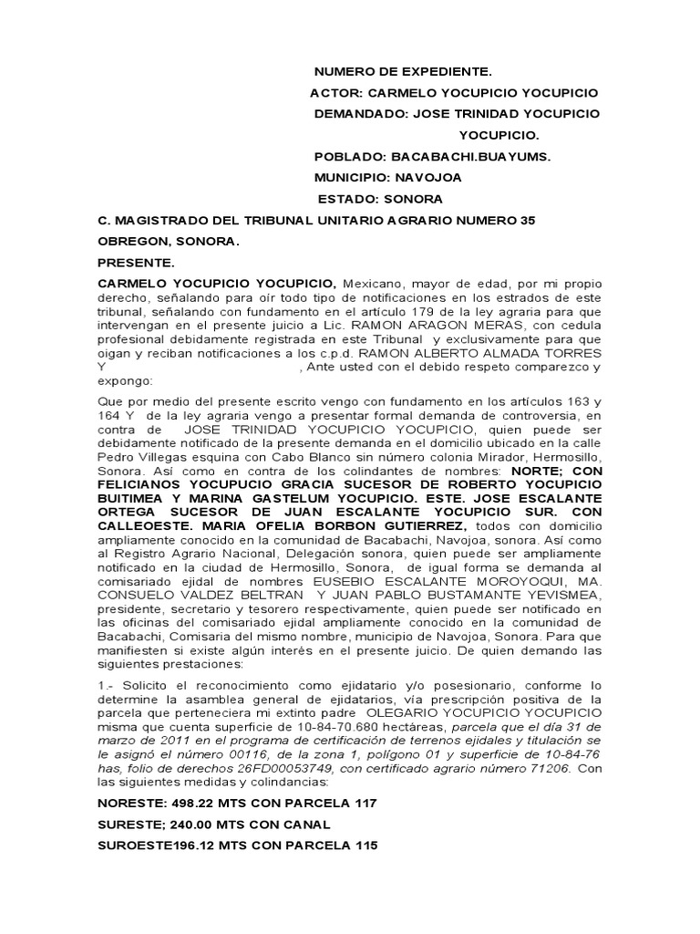 DEMANDA AGRARIA CARMELO YOCUPICIO YOCUPICIO 2019 | PDF | Caso de ley ...