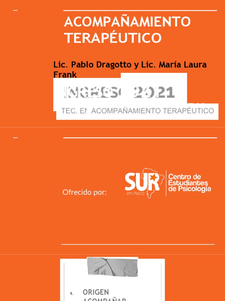 ACOMPAÑAMIENTO TERAPÉUTICO - Dragotto Frank | PDF | Neurología | Psique ...