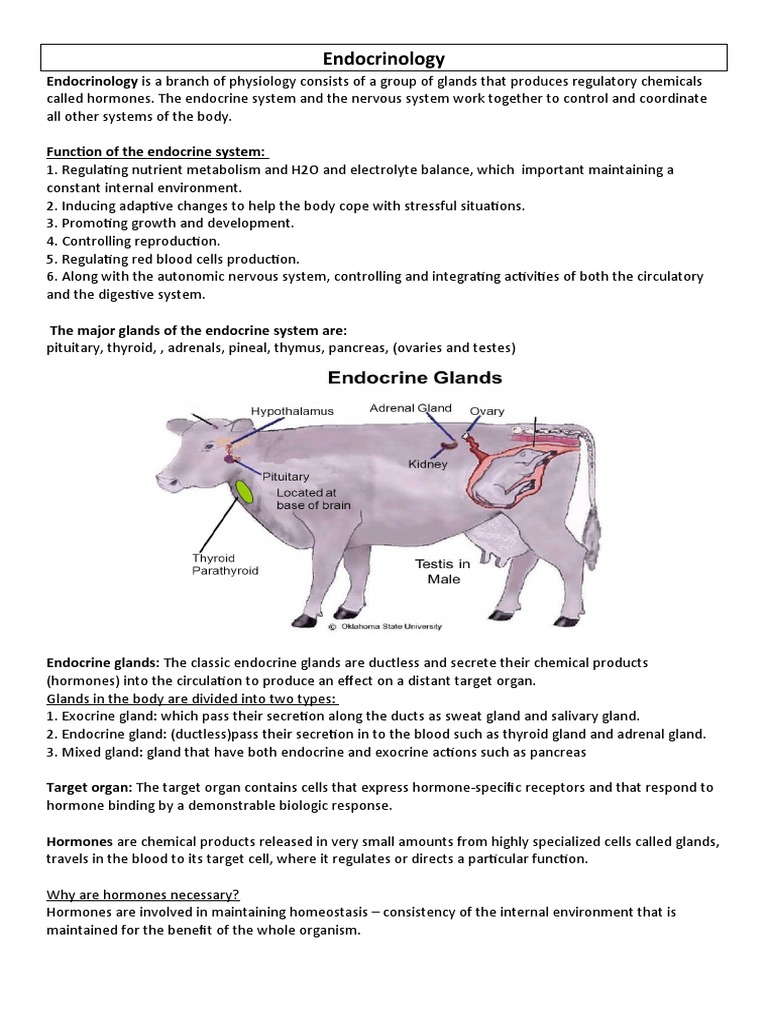 Endocrinology Pdf Hormone Endocrine System