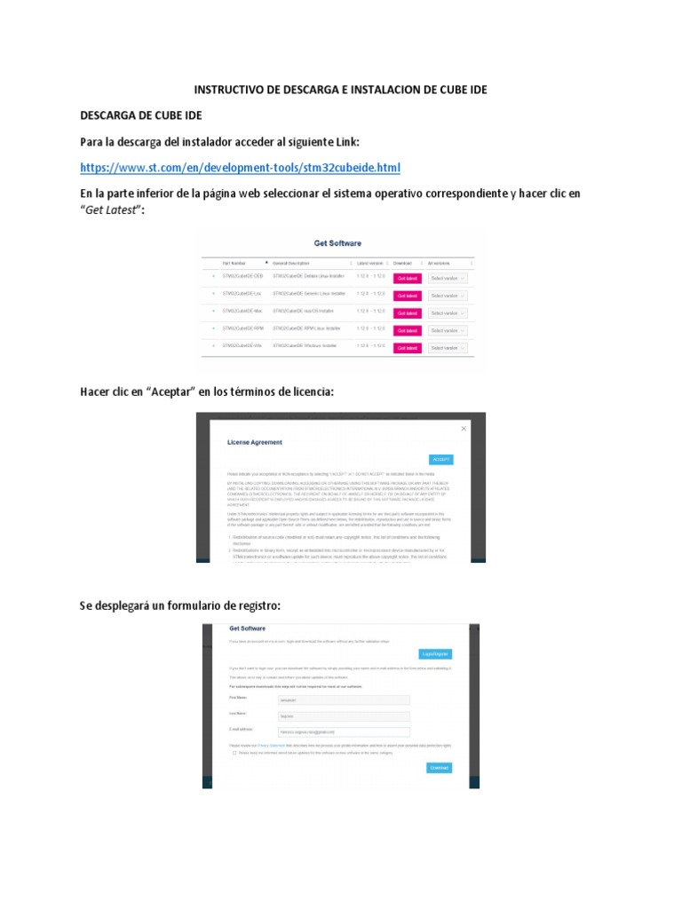 Instructivo CubeIDE | PDF