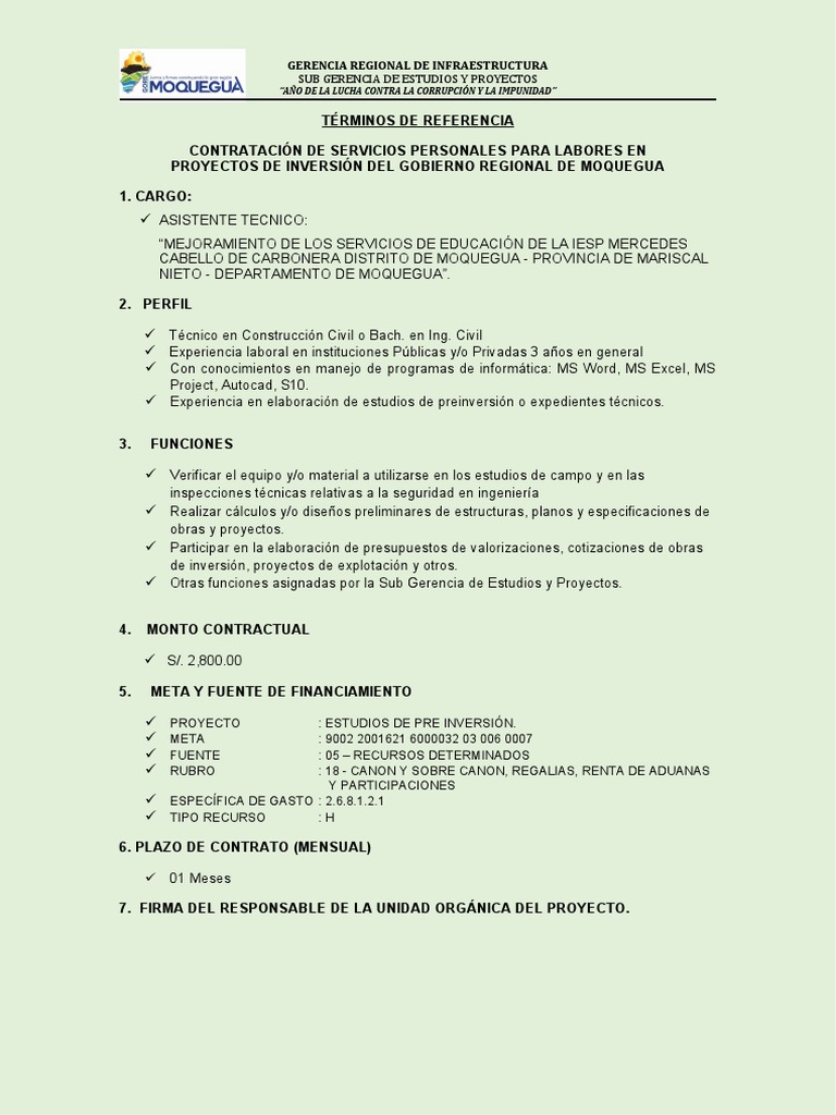 TDR Asistente Tecnico | PDF