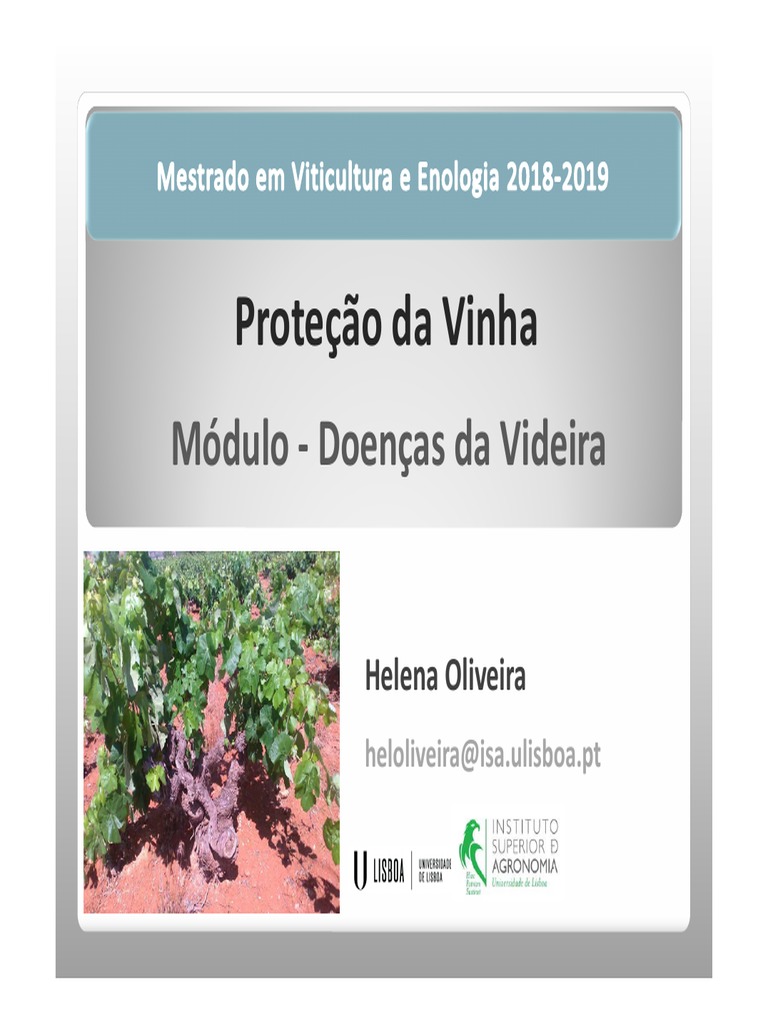 Doencas Videira - Mildio-2019 | PDF | Uva