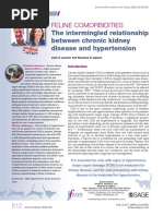 ACVIM Guidelines for Hypertension in Pets | PDF | Hypertension ...