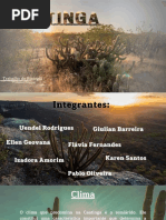 Animais Da Caatinga | PDF
