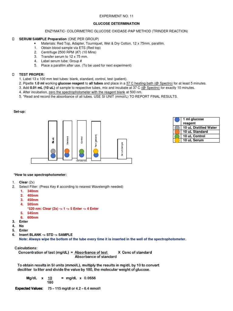Exp Instructions | PDF | Spectrophotometry | Experiment