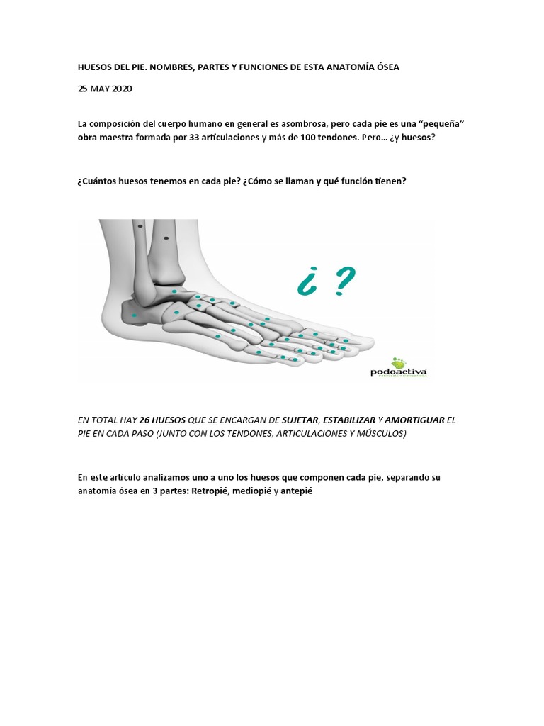 Huesos Del Pie | PDF | Pie | Sistema musculoesquelético