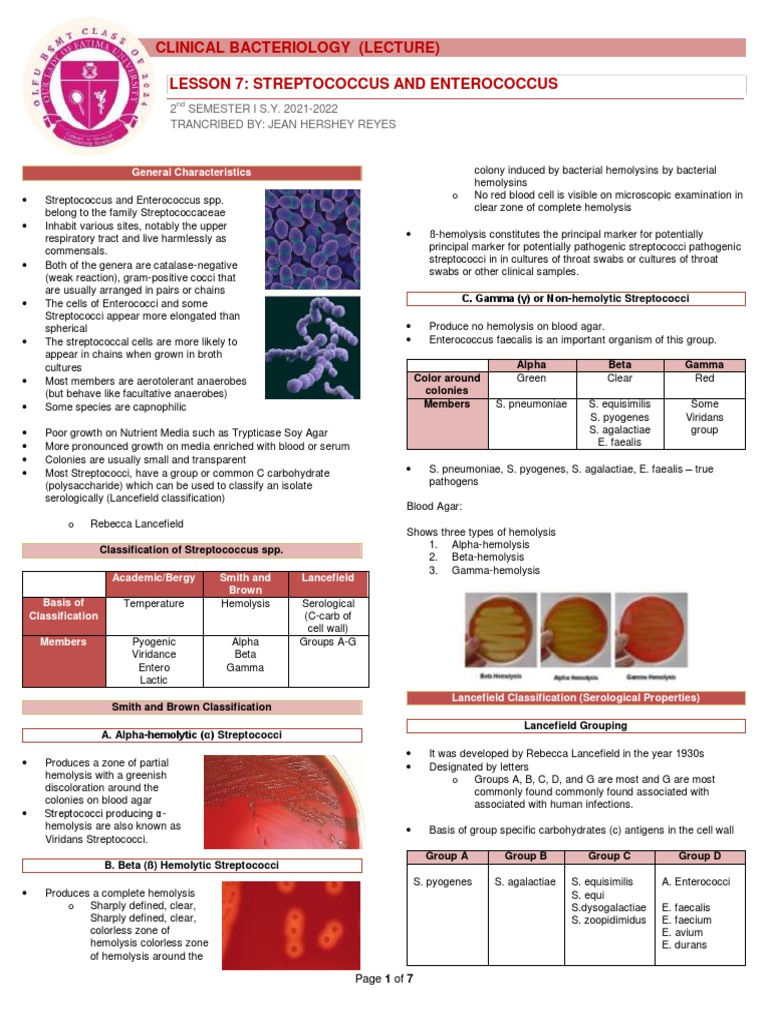 Lesson 7 Streptococcus and Enterococcus | PDF | Streptococcus | Pneumonia
