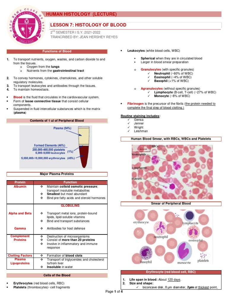 Lecture 7 Histology of Blood | PDF | Red Blood Cell | White Blood Cell