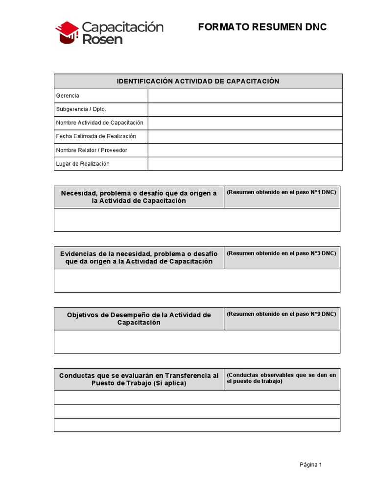 Formato Resumen DNC | PDF