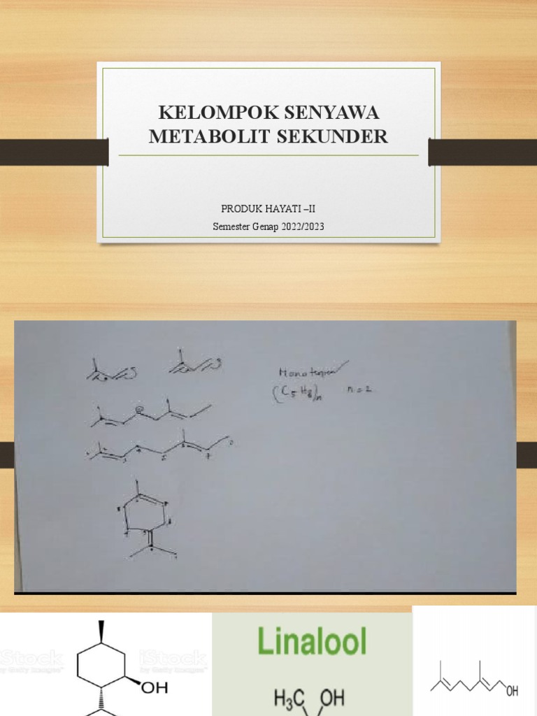 Ii - Kelompok Senyawa Metabolit Sekunder | PDF