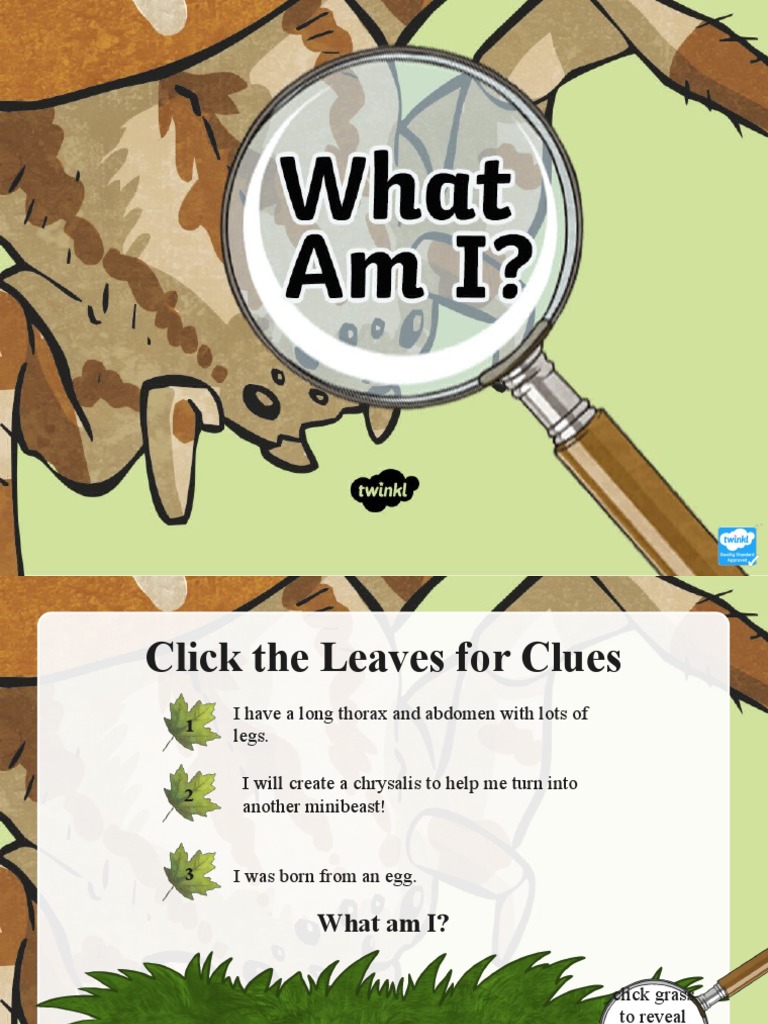 Au SC 2430 Minibeasts What Am I Interactive Powerpoint Ver 6 | PDF ...