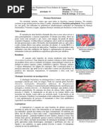 Tabela de Bacterioses | PDF | Salmonella | Bactérias