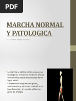 Tipos de Marcha | PDF | Sistema musculoesquelético | Enfermedades y ...