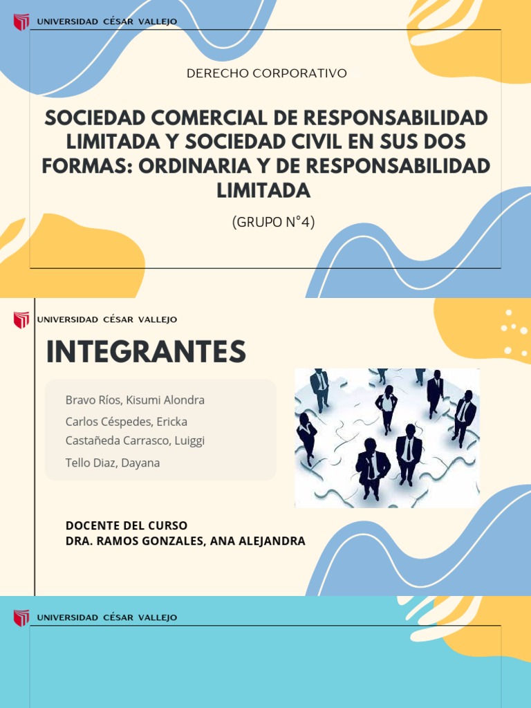 Sociedad Comercial de Responsabilidad Limitada y Sociedad Civil | PDF | Sociedad de ...