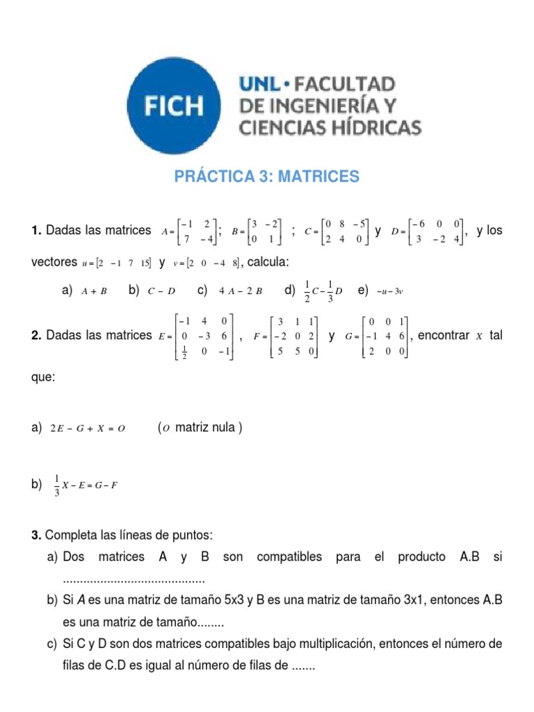Práctica de Matrices | PDF | Matriz (Matemáticas) | Álgebra