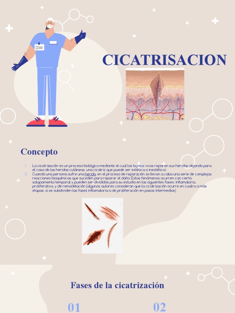 Cicatriz Ac i On | PDF | Cicatrización de la herida | Medicina