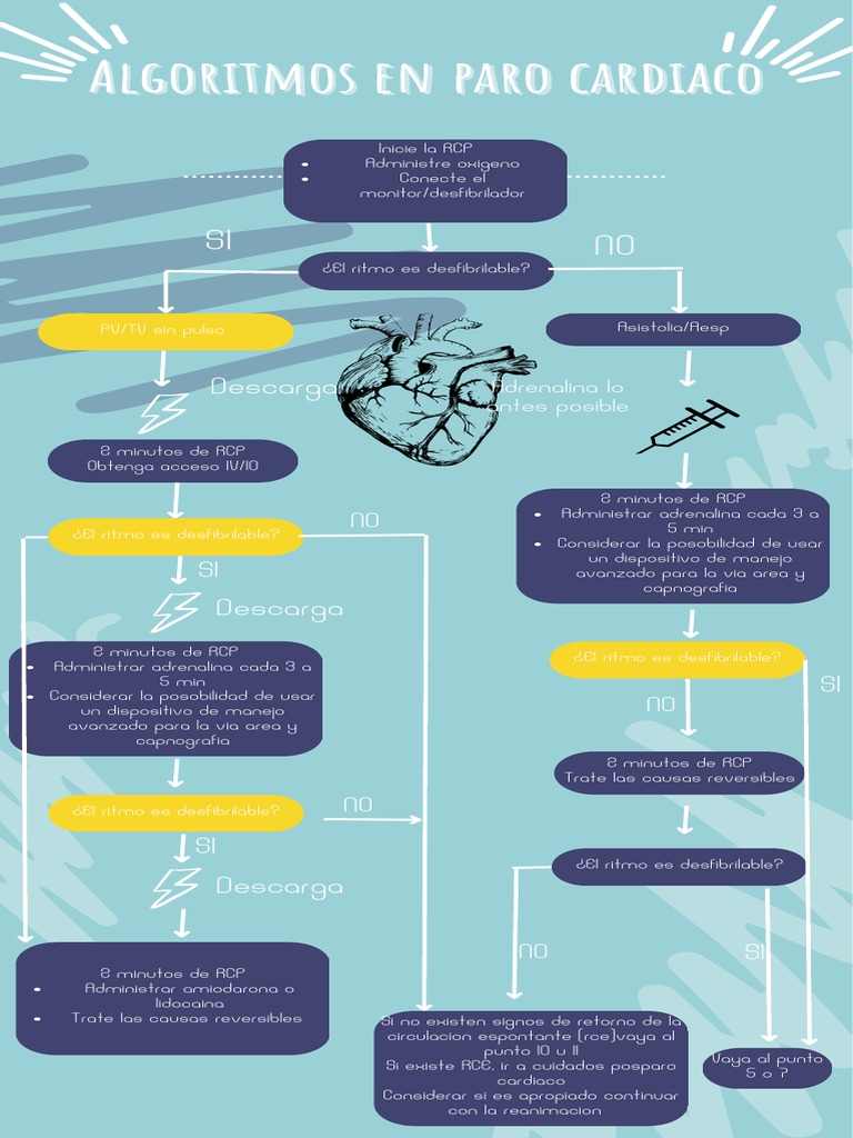 Algoritmos en Paro Cardiaco | PDF | Reanimación cardiopulmonar ...