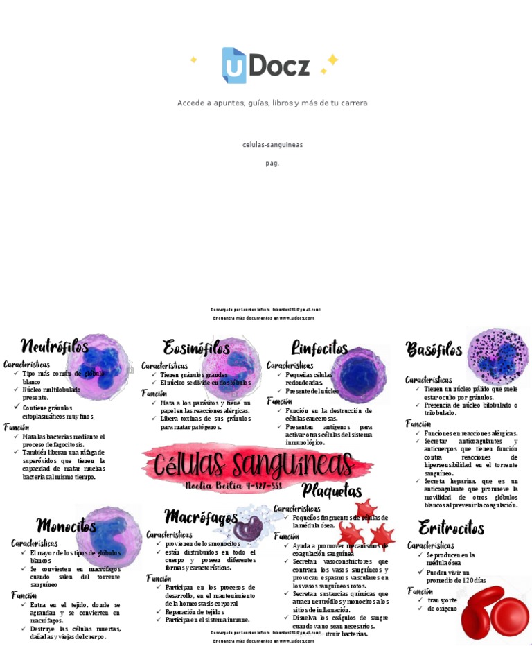 Celulas Sanguineas 388369 Downloadable 751175 | PDF | Sangre | Sistema inmune