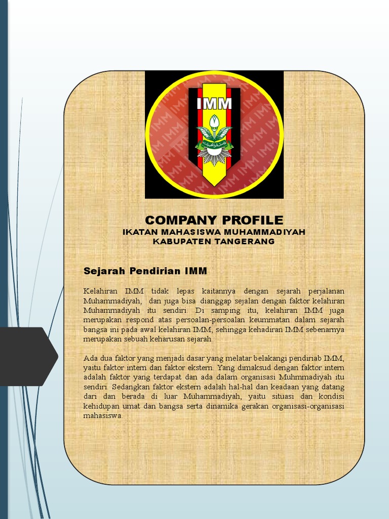 Company Profile IMM | PDF