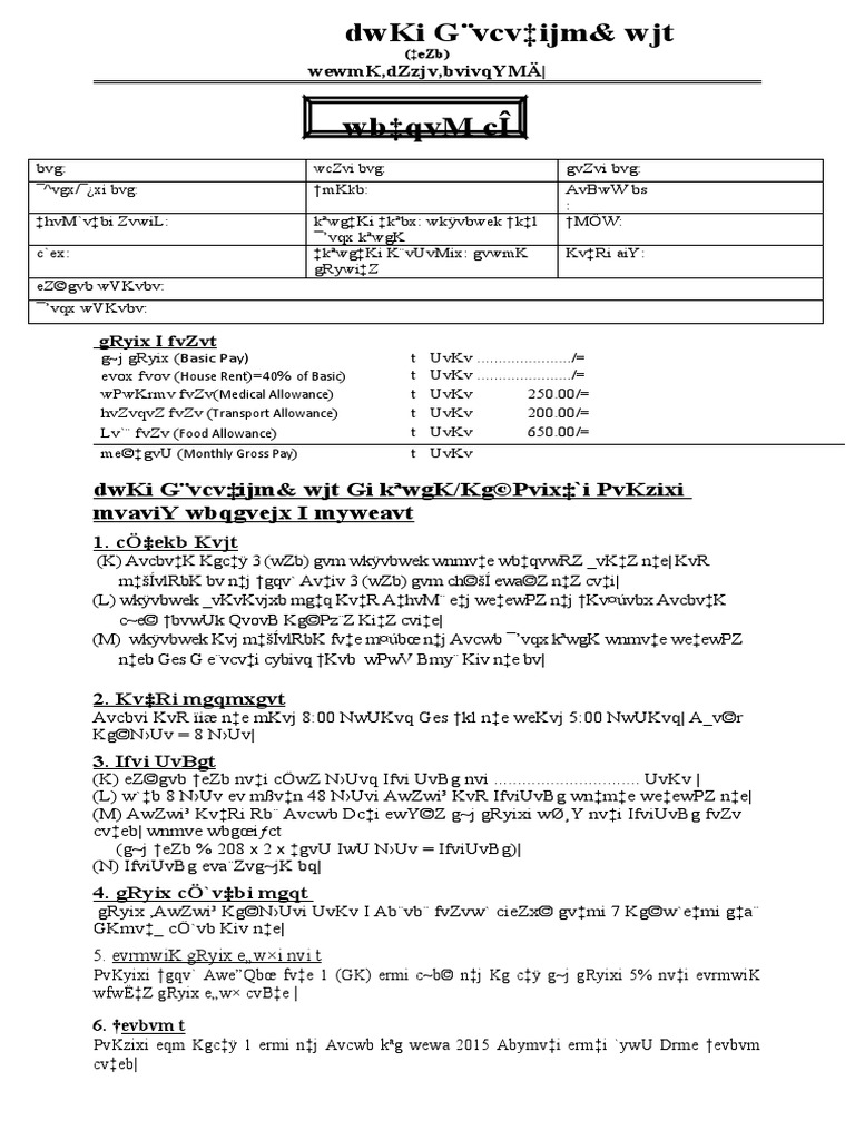 Appointment Letter(Salary)New Rules | PDF