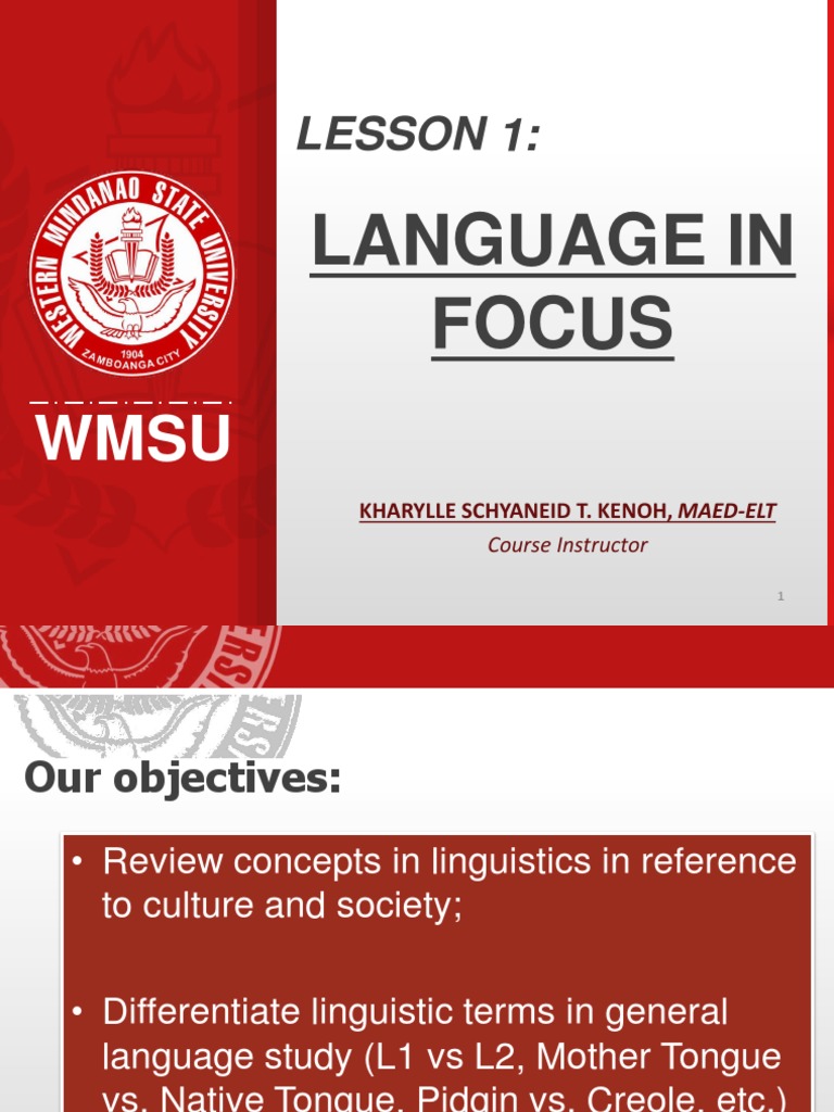 Language in Focus | PDF | Linguistics | Grammar