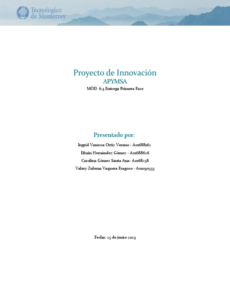 Entrega Final Equipo2 APYMSA | PDF | Análisis FODA | Sector privado