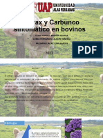 Fisiología Digestiva de la Vaca | PDF | Digestión | Esófago
