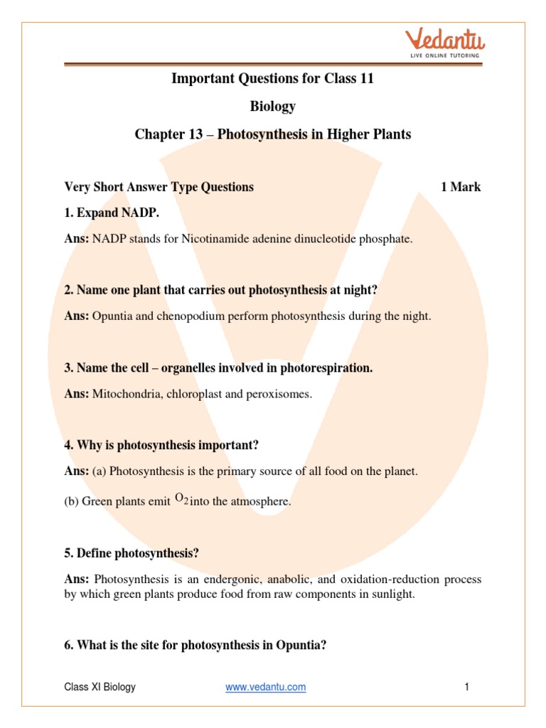 CBSE Class 11 Biology Chapter 13 - Photosynthesis in Higher Plants ...