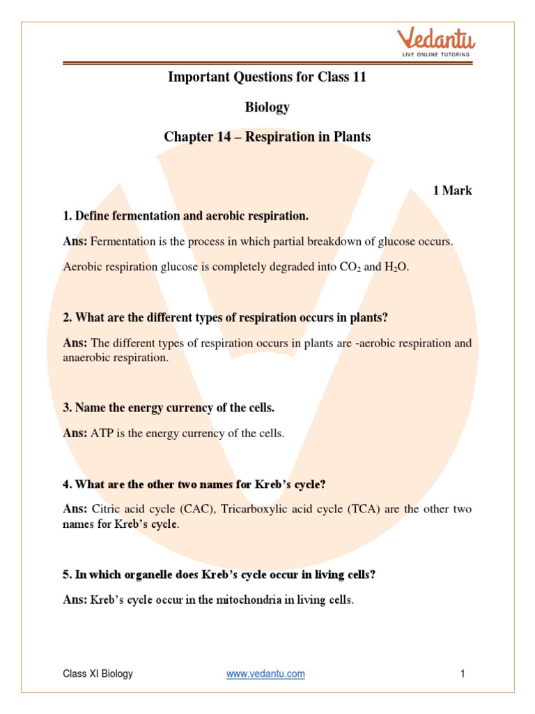 CBSE Class 11 Biology Chapter 14 - Respiration in Plants Important Questions 2022-23 | PDF ...