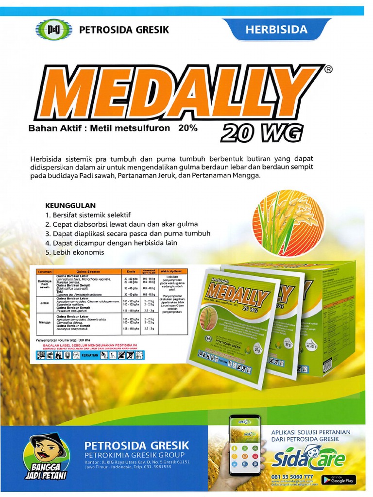 21-MEDALLY 20 WDG (1) | PDF