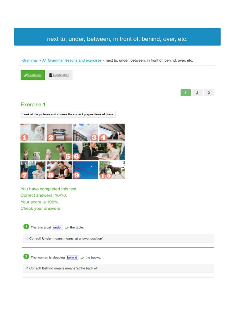 Next To, Under, Between, in Front Of, Behind, Over, Etc.: Exercise 1 | PDF
