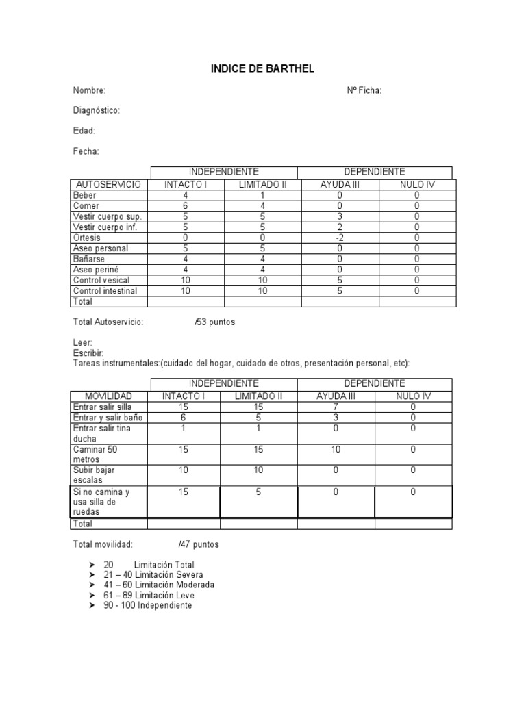 INDICE DE BARTHEL plantilla | PDF