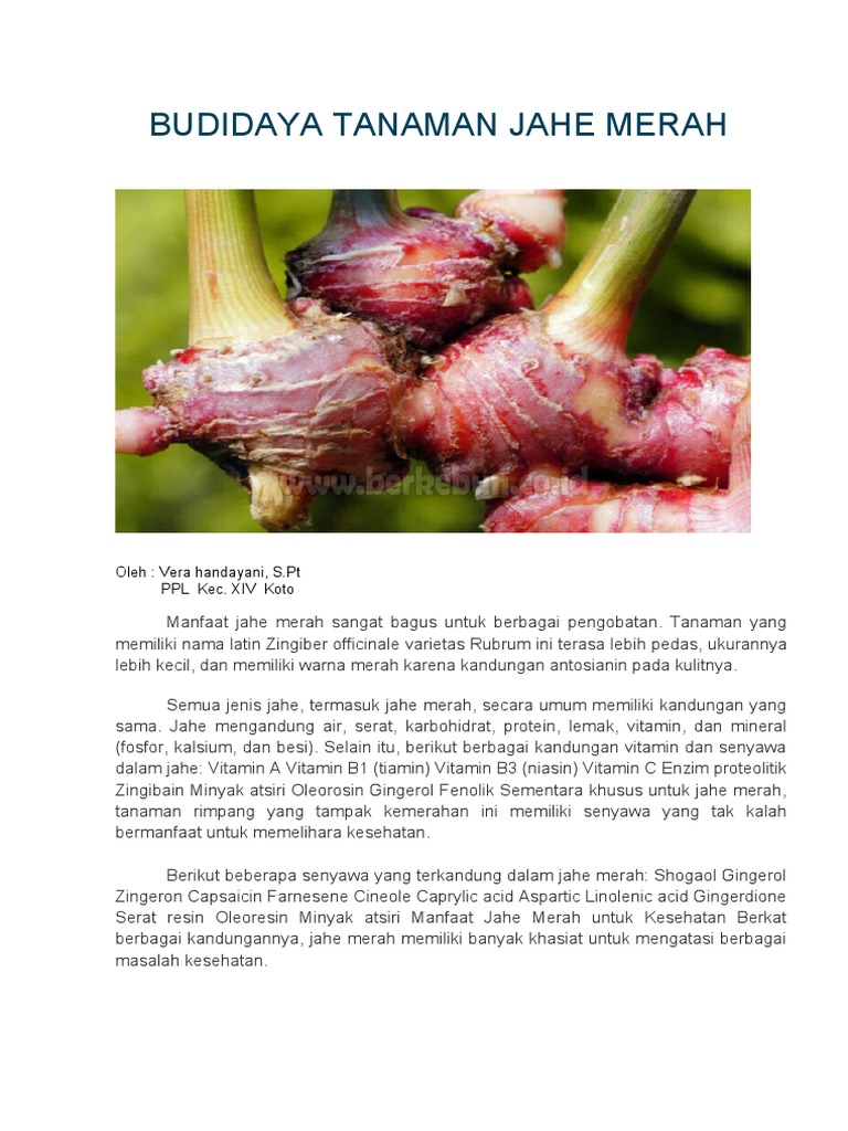 Afrina Ningsi | PDF | Kesehatan Holistik | Sains & Matematika