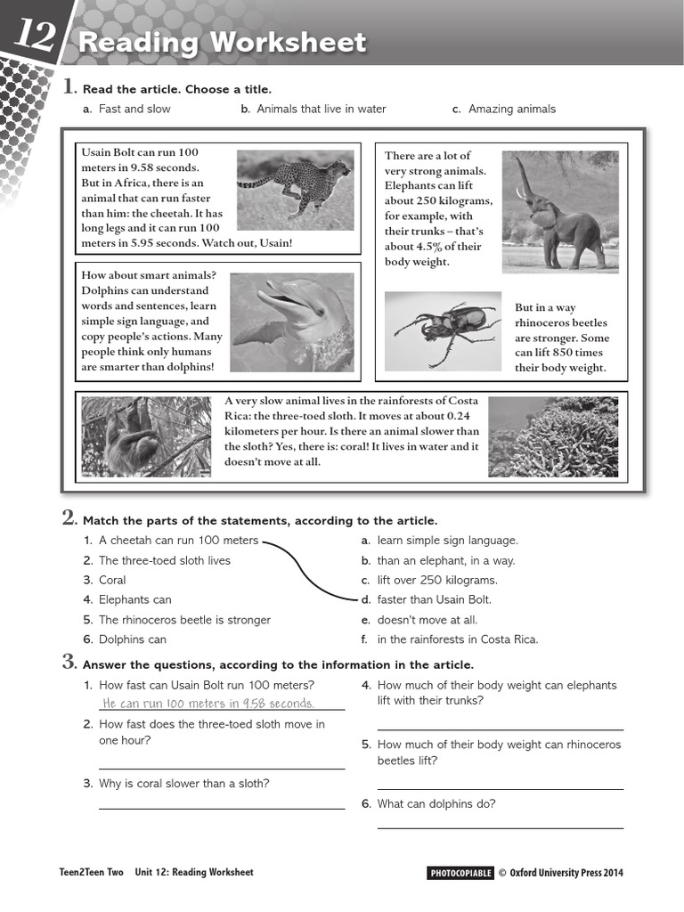 T2T Two U12 Readingworksheet | PDF | Elephant