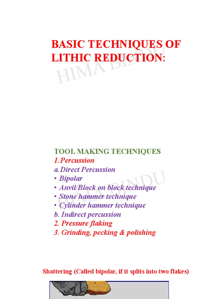 Archaeology1 8bp11 1 p2 | PDF | Paleolithic | Archaeology