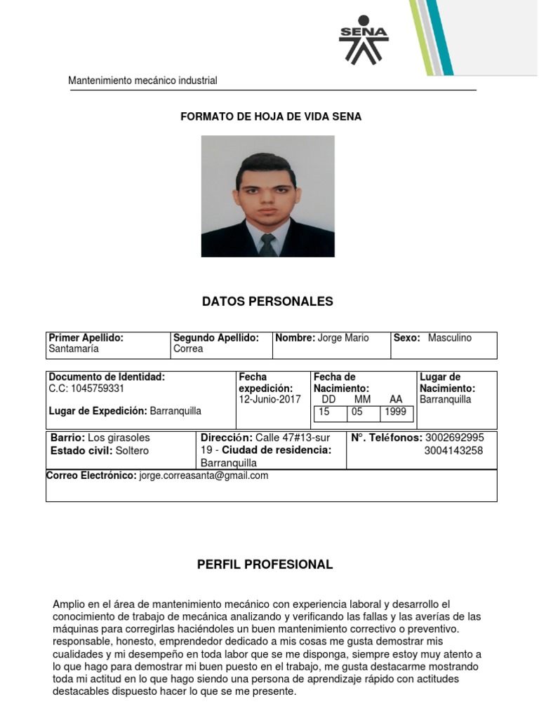 Hoja de Vida de Mecanico Industrial 2023 | PDF